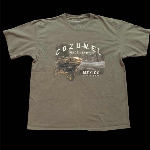 Shirts Vintage Lizard Cozumel Mexico Native Wear Tshirt Poshmark